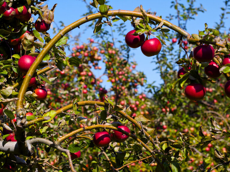 Navigant Opens North Kingstown Branch - Navigant Credit Union - Rhode ...